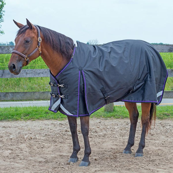 Canadian Horsewear Violet CALYPSO Diablo Rainsheet 50 gm with Tail Cor ...