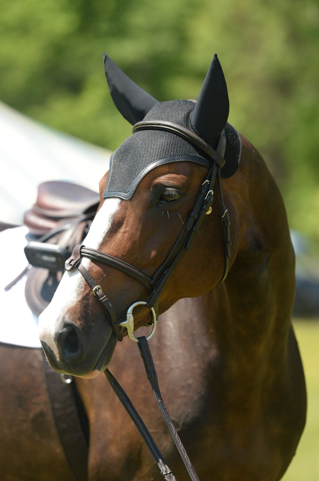 Fly Protection – The Tack Shoppe